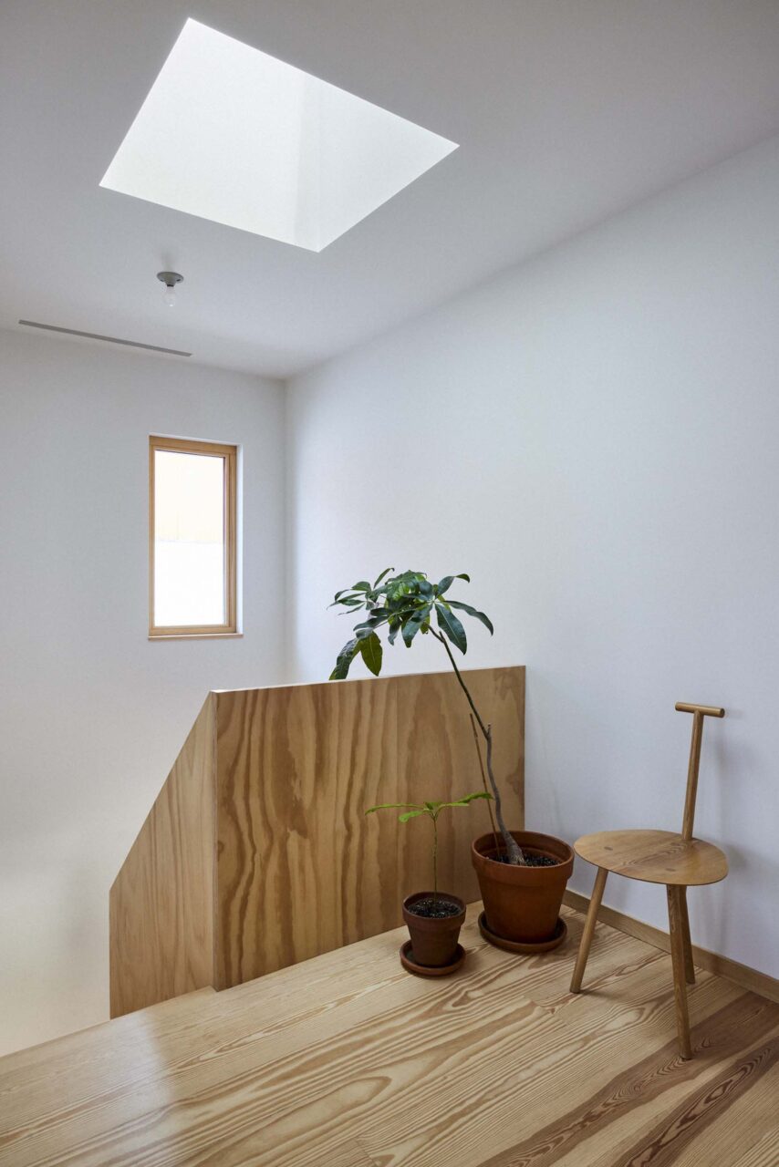 For LIC Residence, Keith Burns Architect fits in dense programming