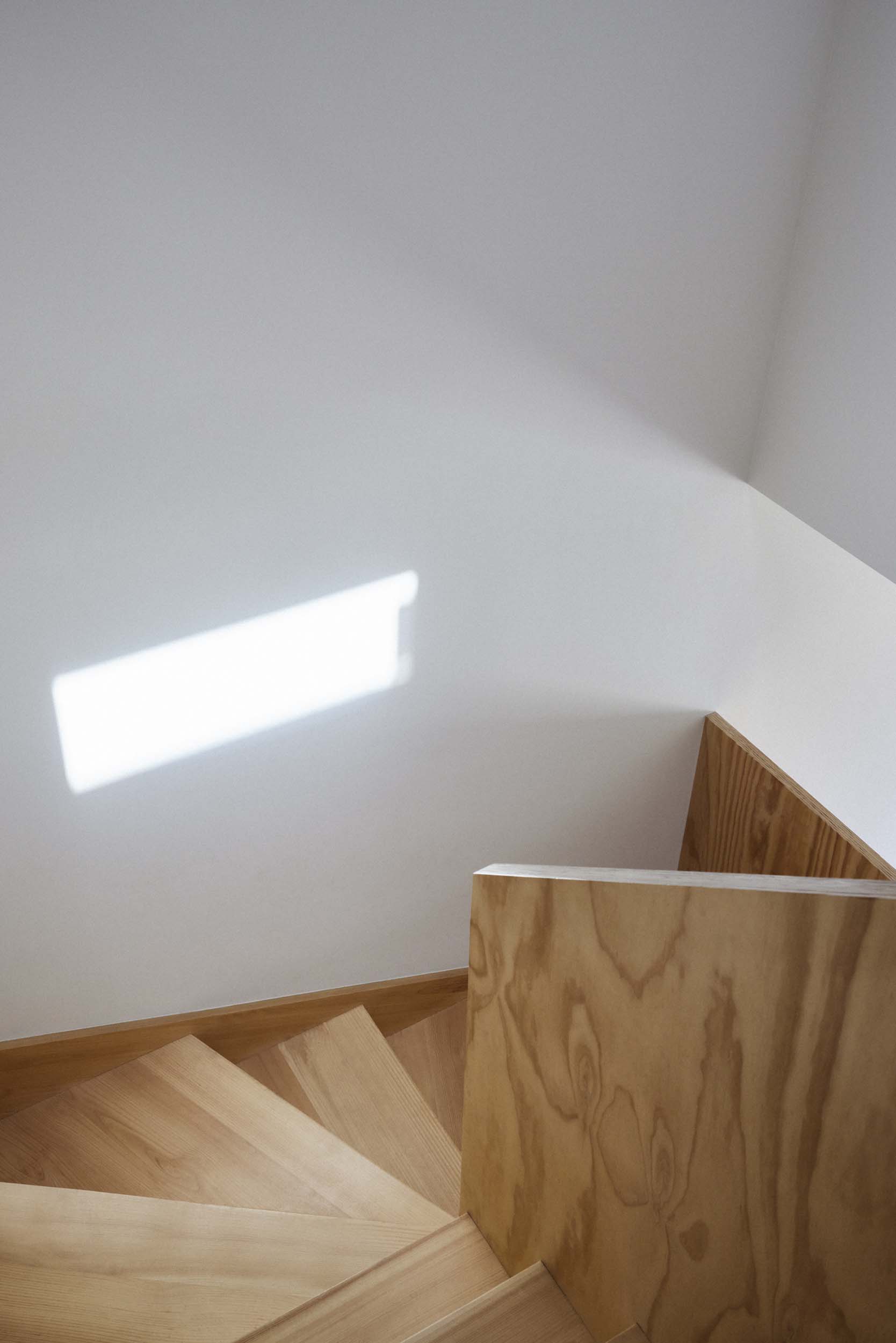 For LIC Residence, Keith Burns Architect fits in dense programming