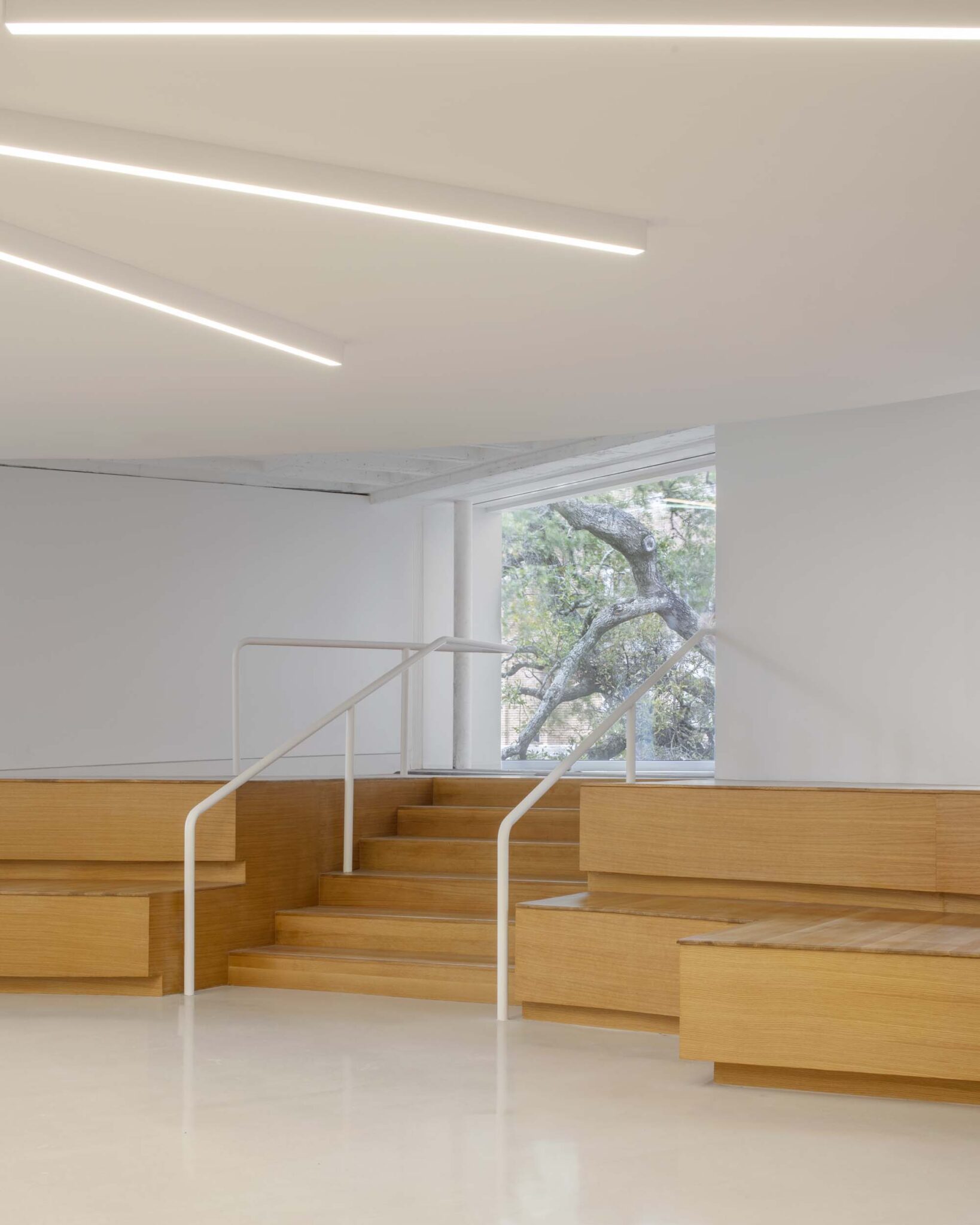 Kwong von Glinow designs Rice University’s MD Anderson Hall